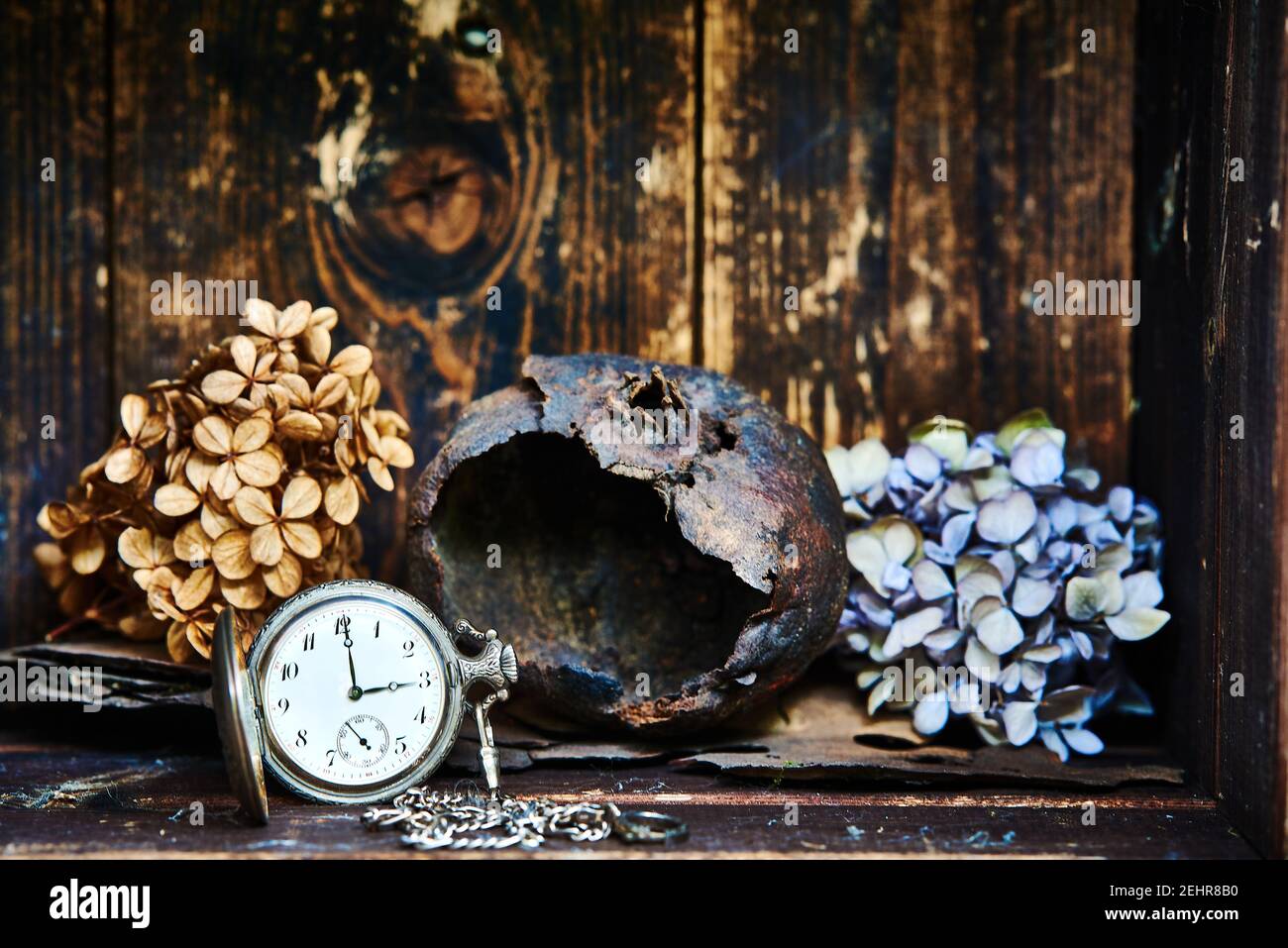 abstract images of dead nature Stock Photo - Alamy