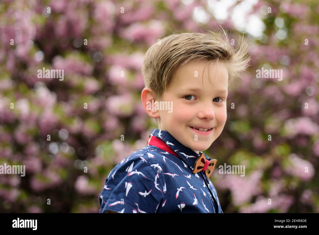 Portrait of smiling child happy boy in a colorful blooming sakura ...