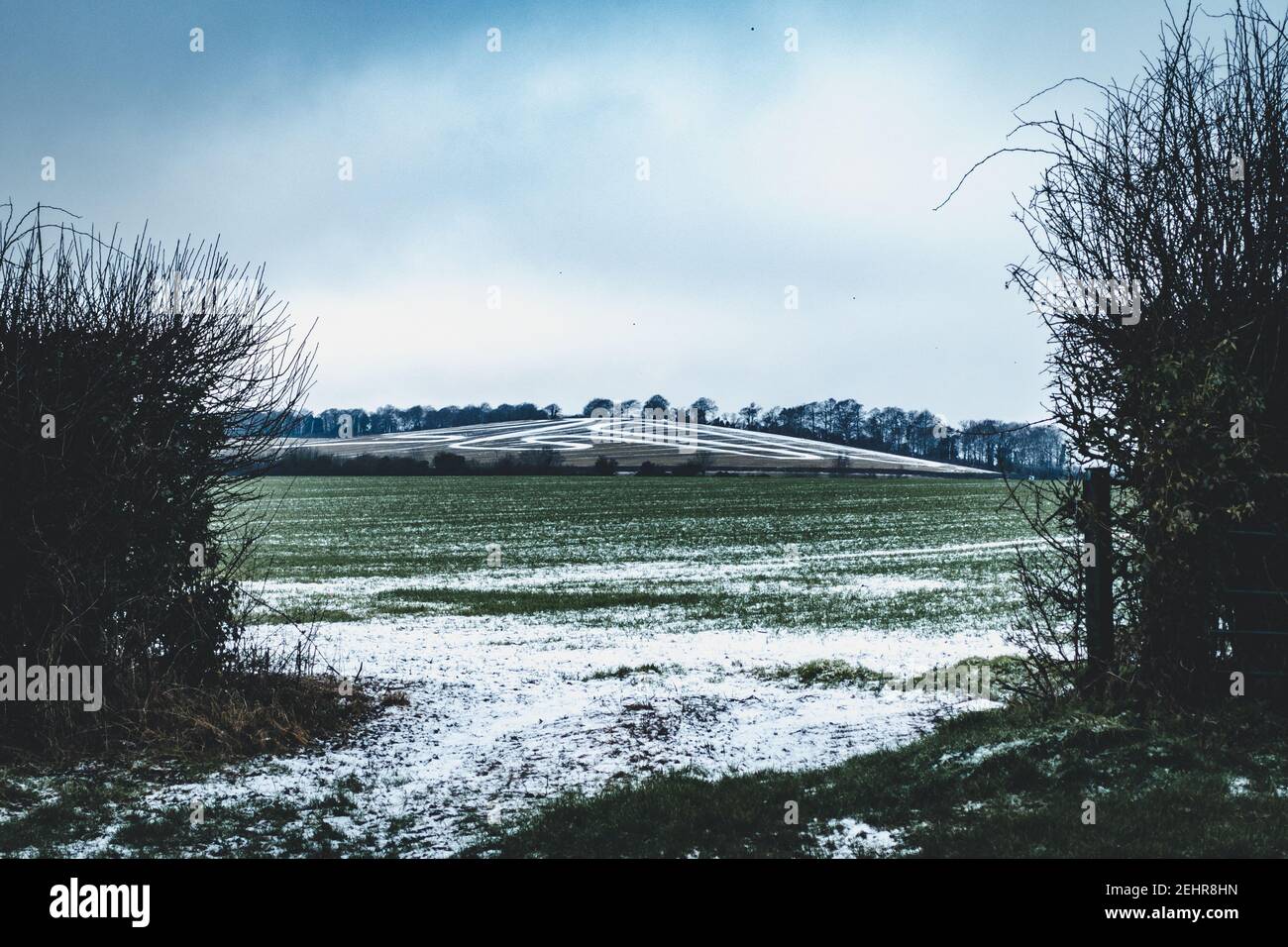Light snow cover hi-res stock photography and images - Alamy