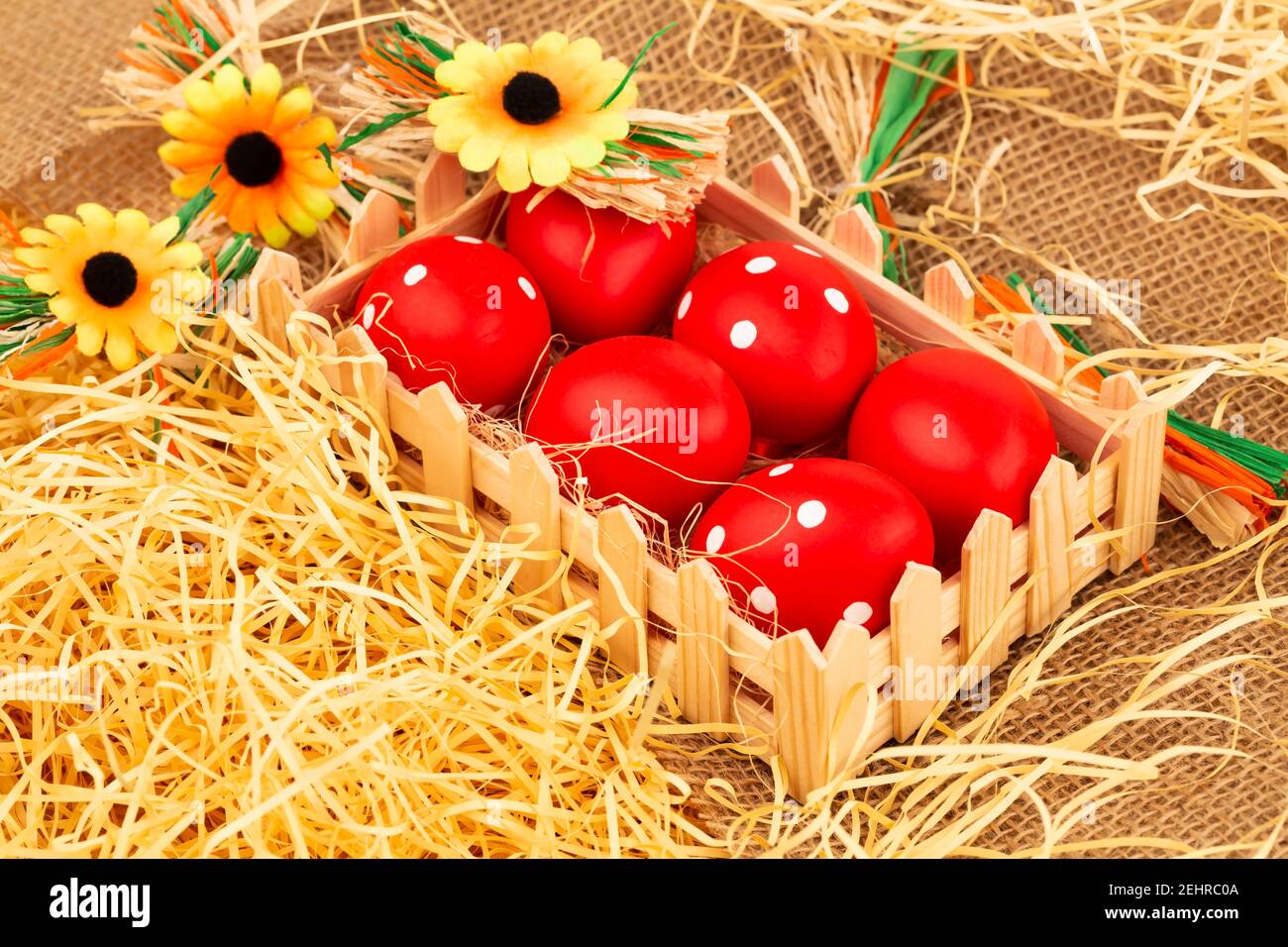 Easter red eggs in wooden box and flowers on brown burlap background ...