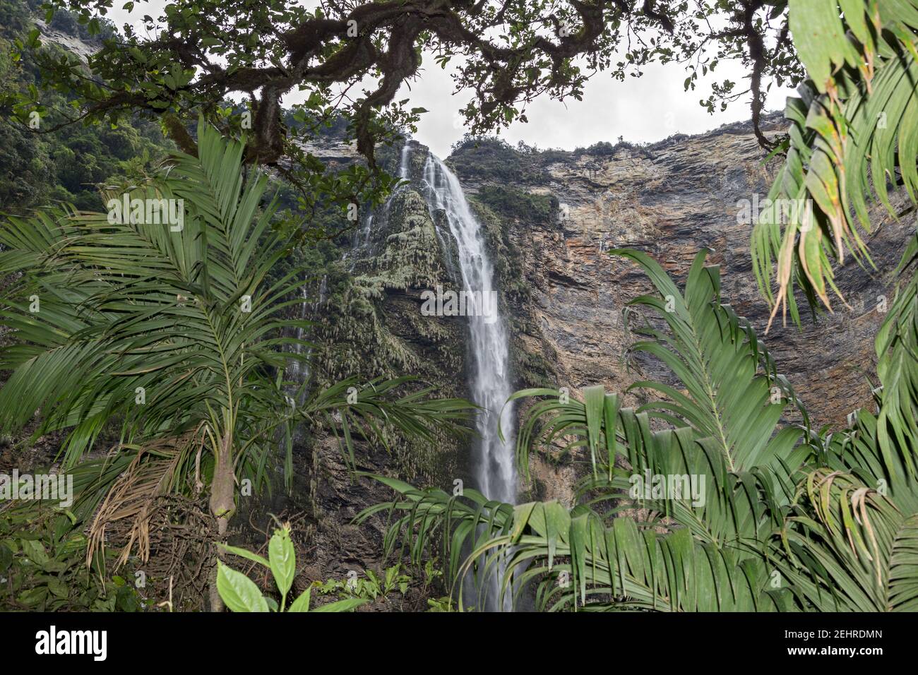 Trail to Gocta Falls, Cocachimba, Peru Stock Photo - Alamy