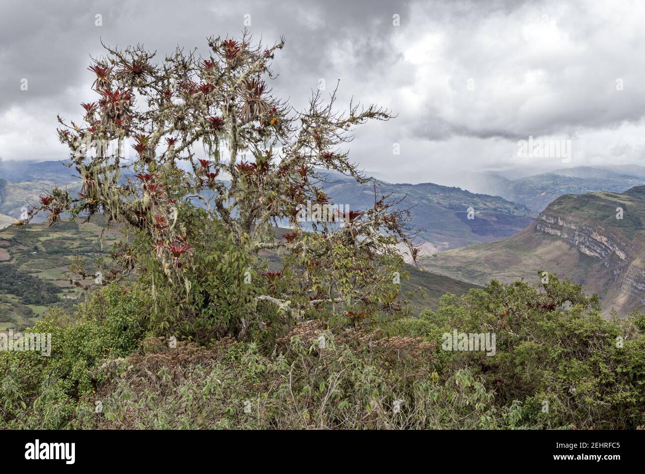 Views from Kuelap Citadel, Kuelap, Peru Stock Photo - Alamy