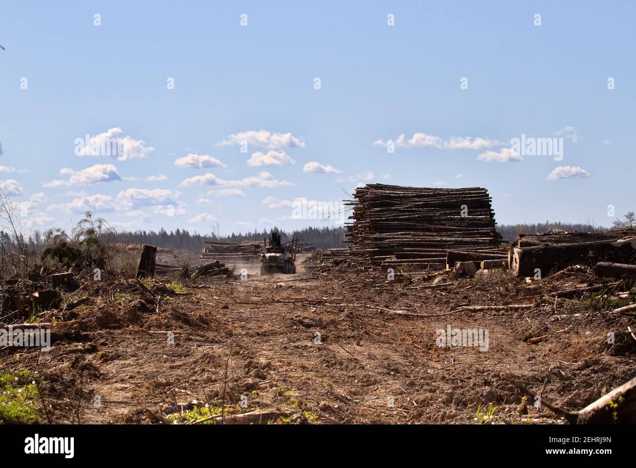 Forest industry. Operations for loading-unloading logging truck at ...