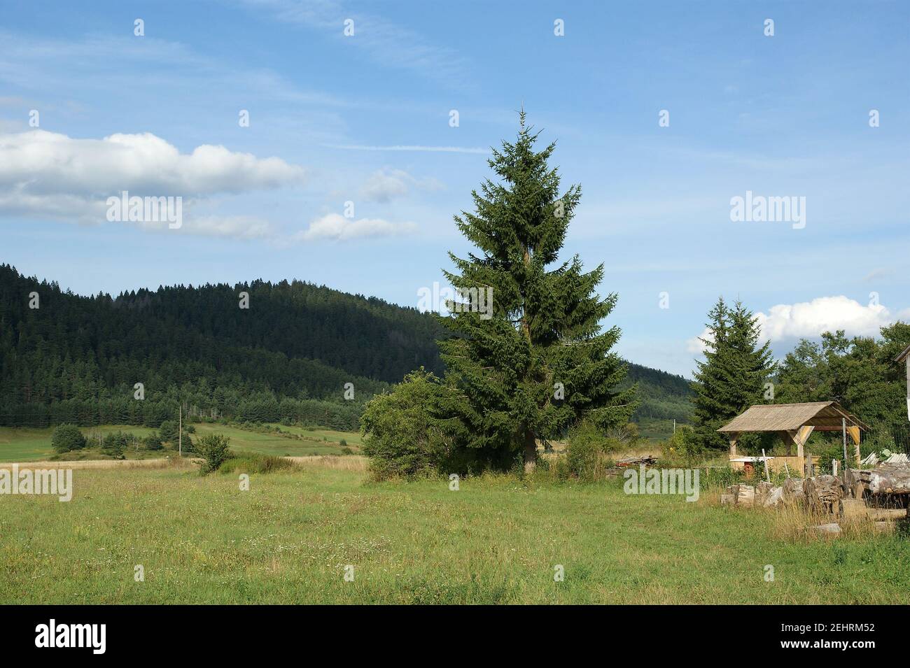 Green field - Mountain Landscape Stock Photo - Alamy