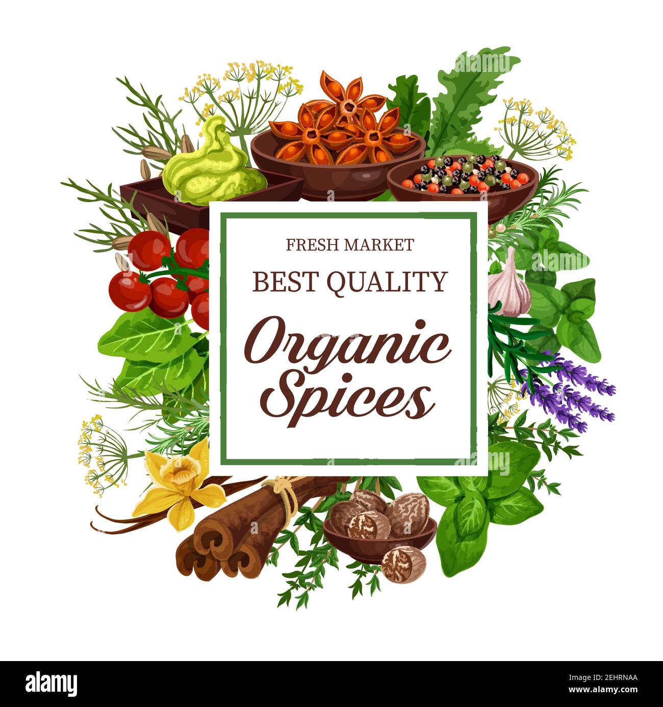Herb spice spices market agriculture Stock Vector Images - Alamy