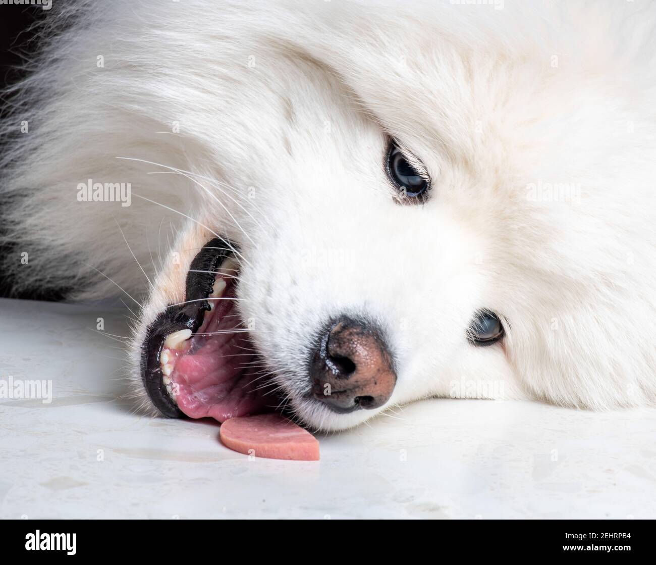 Abstract close up high quality hi-res stock photography and images - Alamy