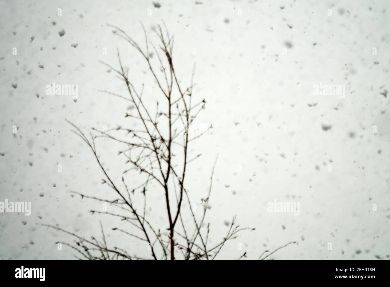 Sheet of snow hi-res stock photography and images - Alamy