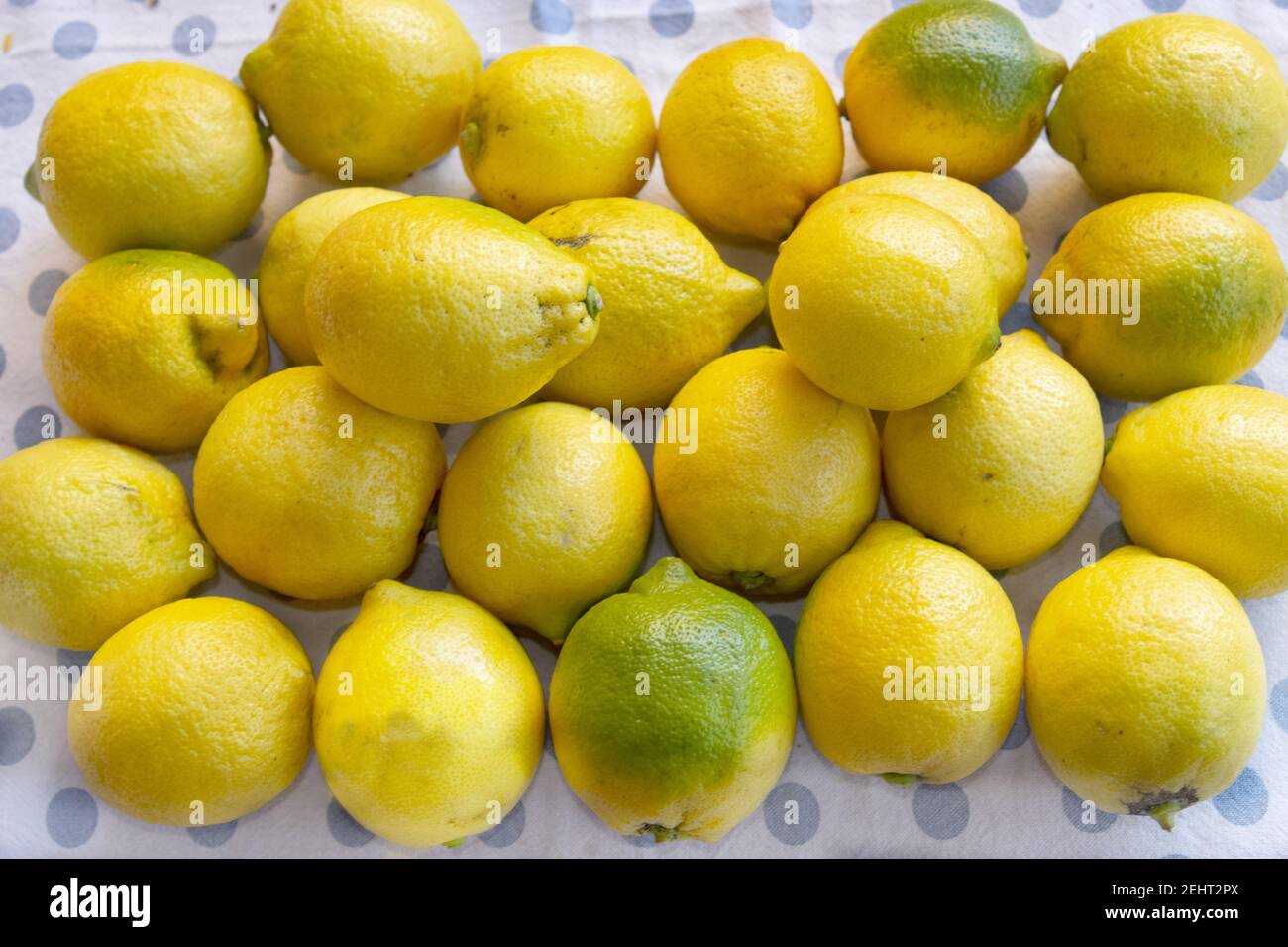 bio and organic lemons with edible peel Stock Photo - Alamy