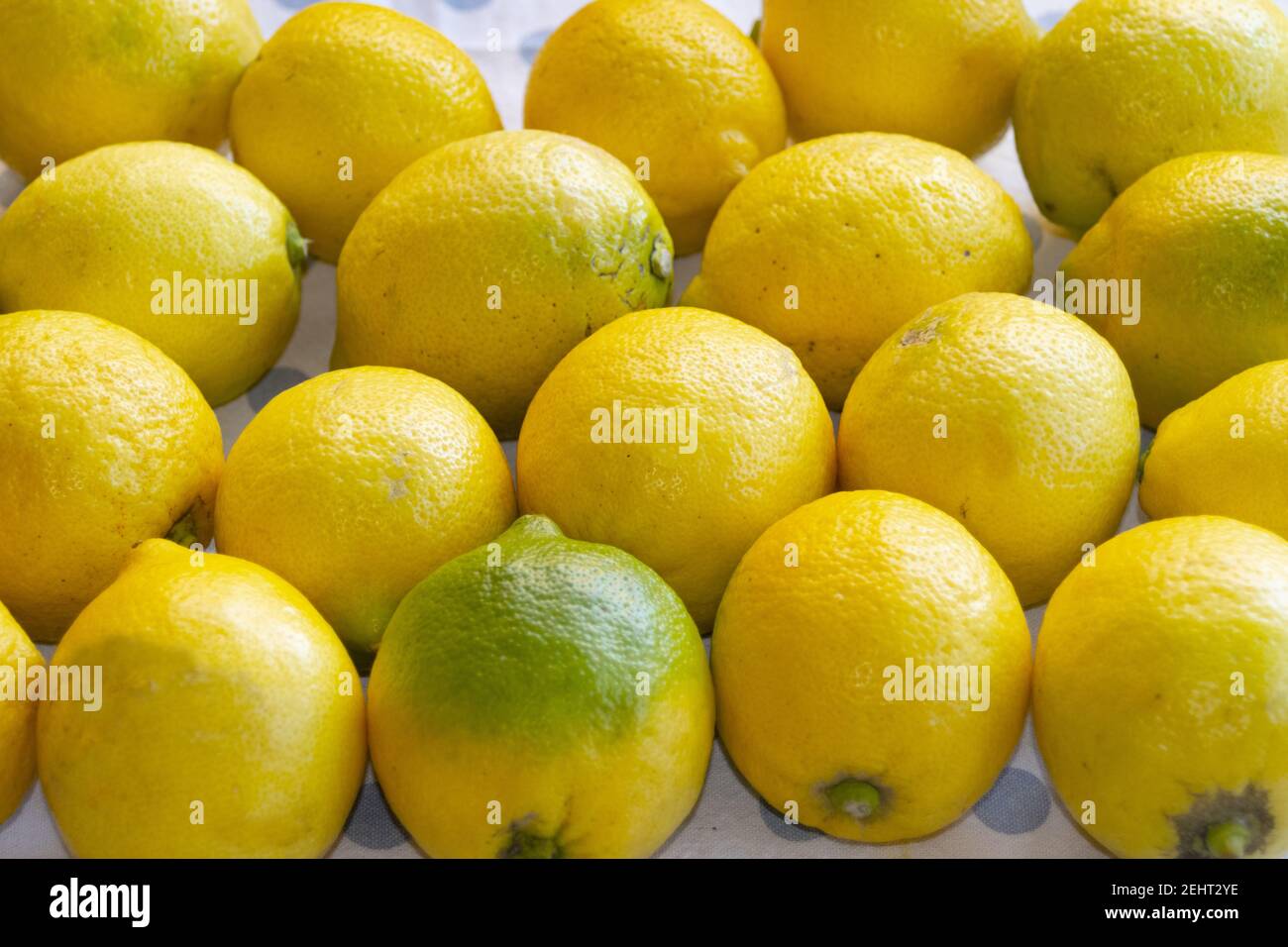 bio and organic lemon wuth edible peel Stock Photo - Alamy
