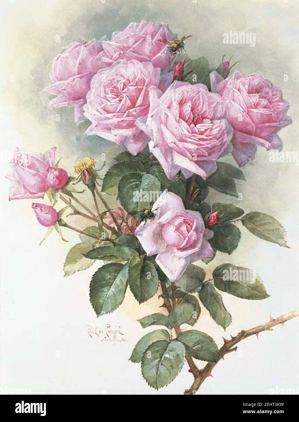 Paul de Longpré - Roses and Bumblebees, 1899 Stock Photo - Alamy