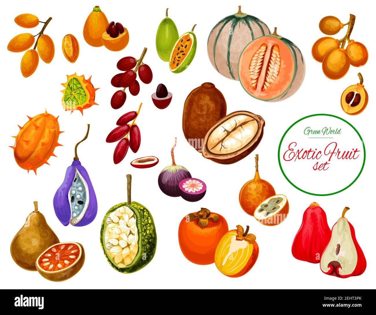 Indian medlar Cut Out Stock Images & Pictures - Alamy