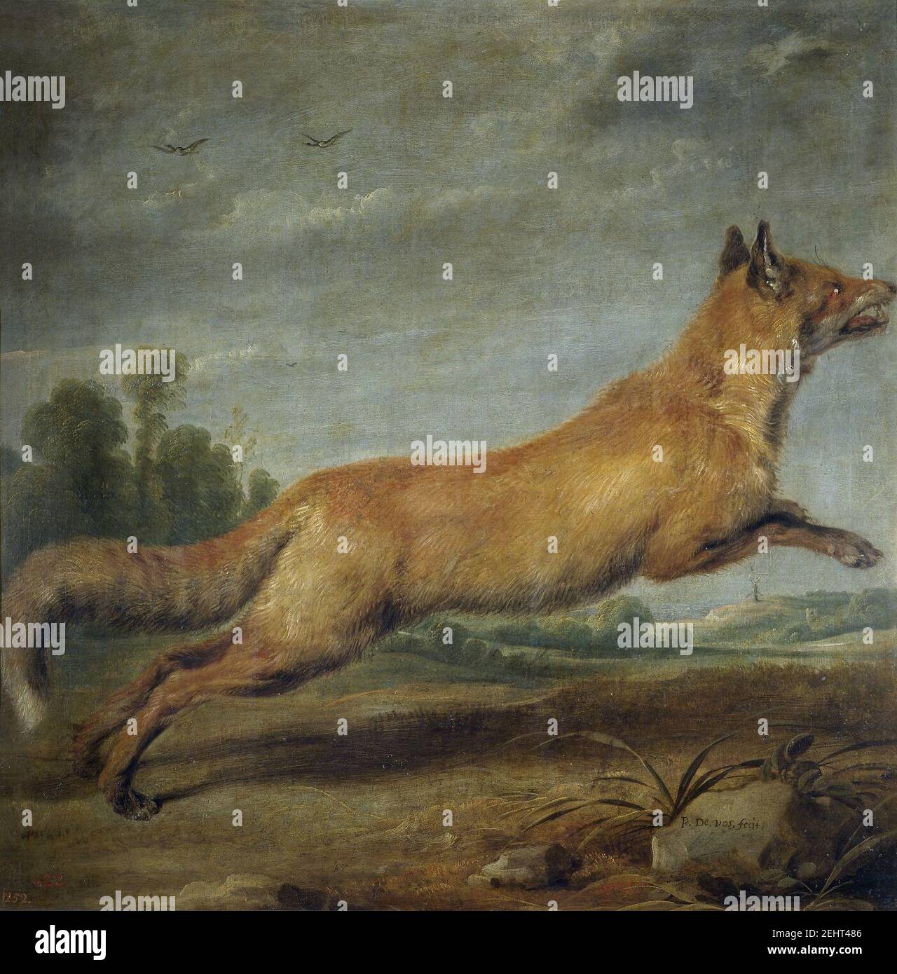 Paul de Vos - Running fox Stock Photo - Alamy