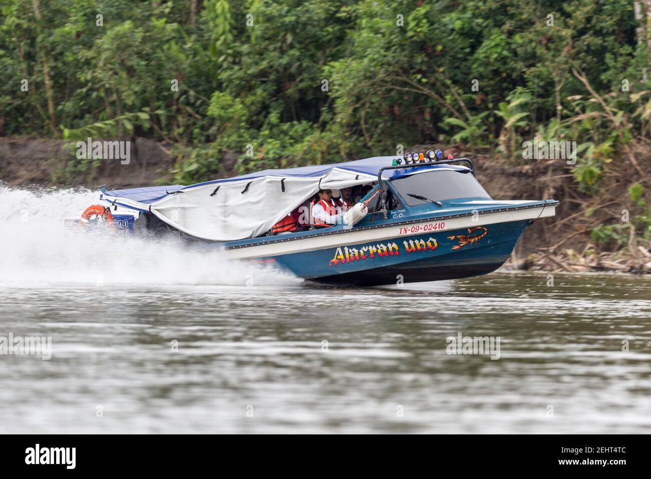 Fast water bus, Napo River, Amazon rainforest, Yasuni National Park ...