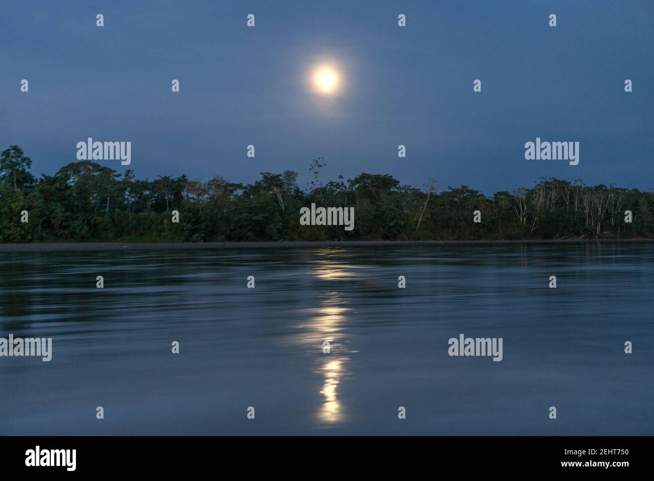 Amazon river night hi-res stock photography and images - Alamy