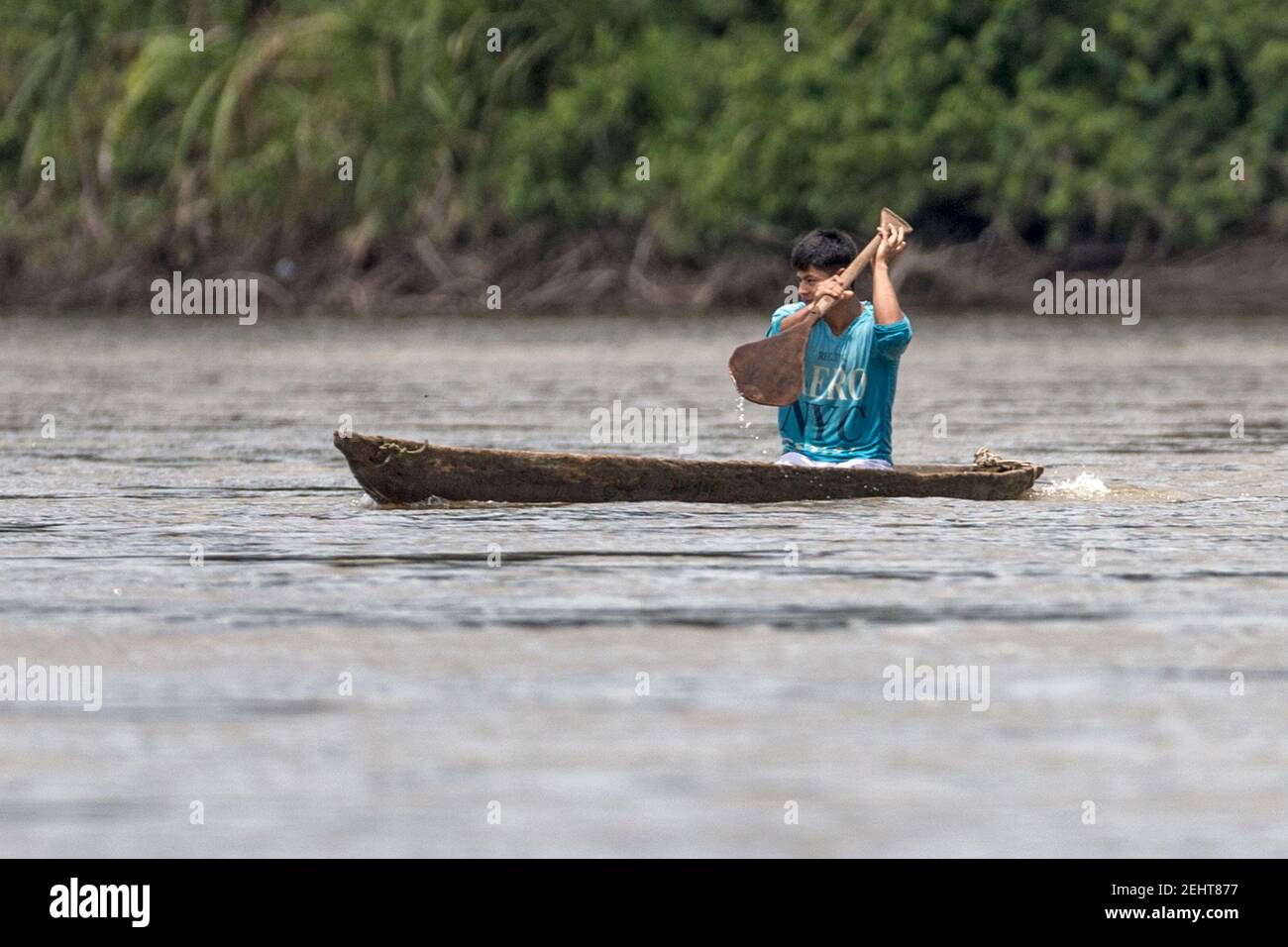 Local paddling canoe, Amazon rainforest, Yasuni National Park, Napo ...