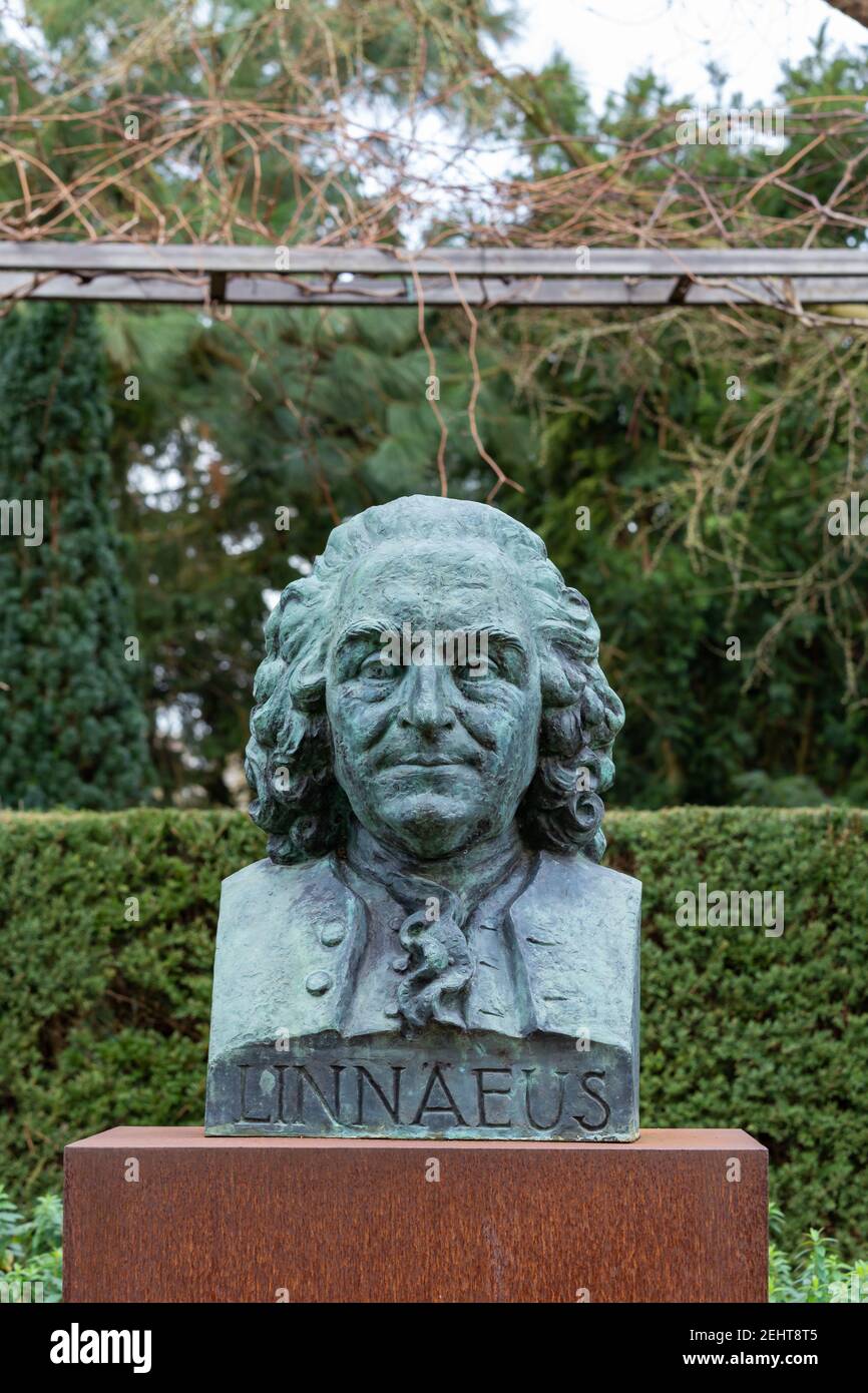 Statue of linnaeus hi-res stock photography and images - Alamy