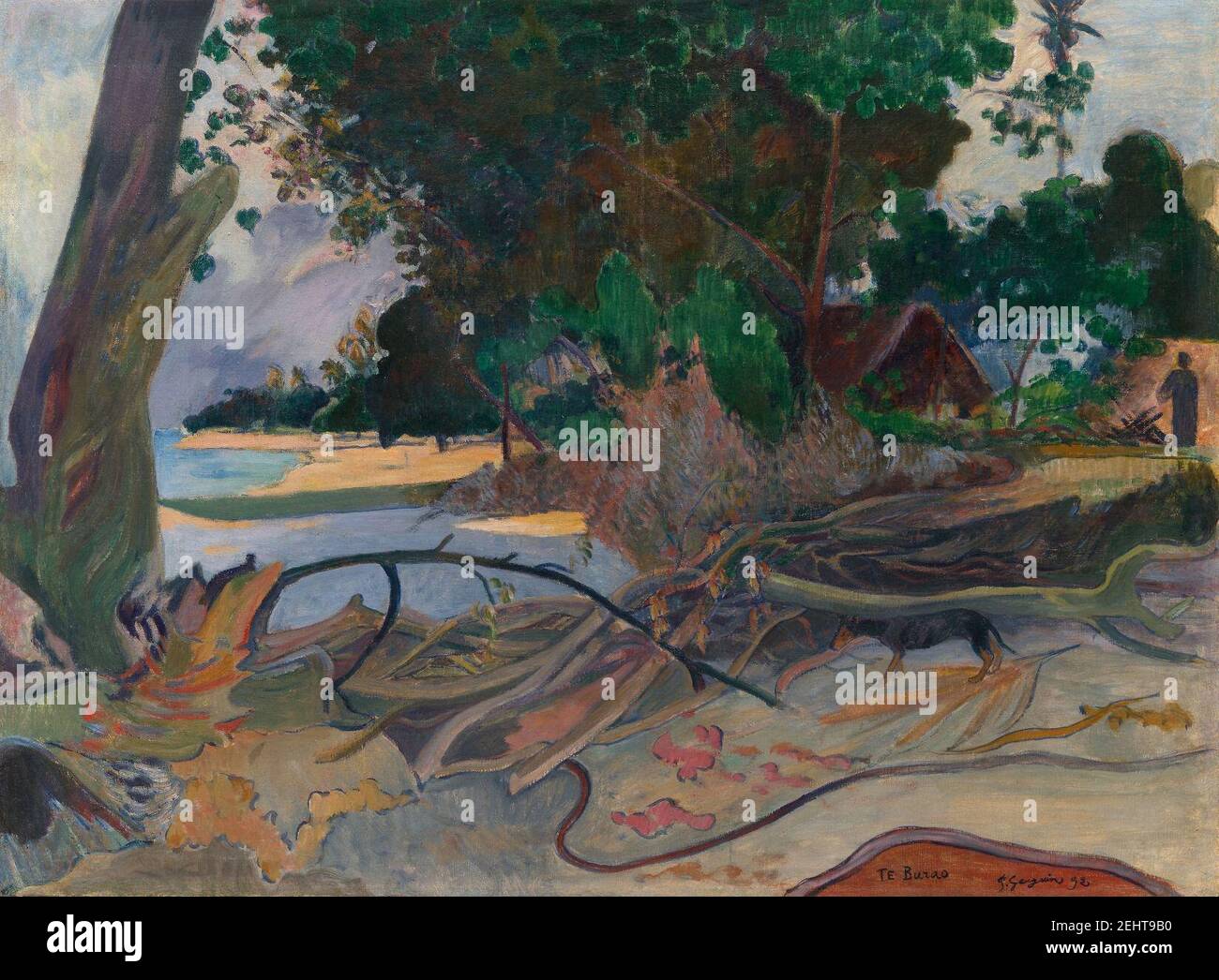 Te burao the hibiscus tree hi-res stock photography and images - Alamy