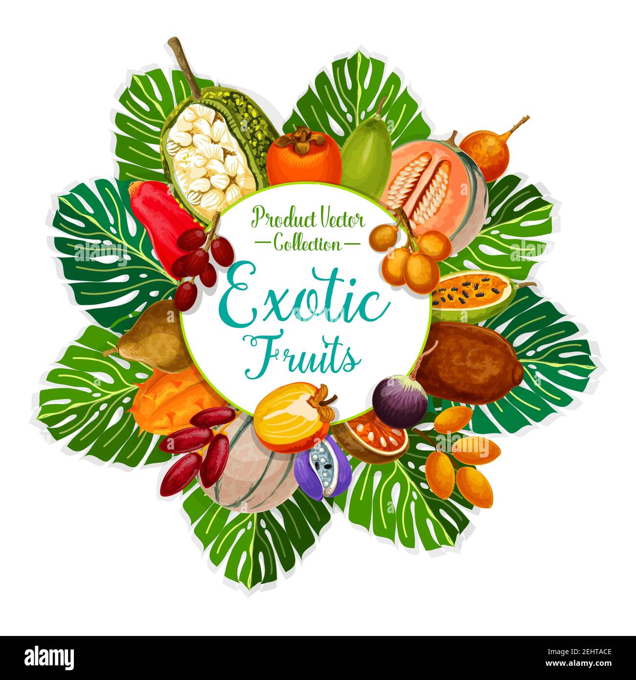 Exotic fruits and tropical berries of persimmon, cantaloupe and date ...