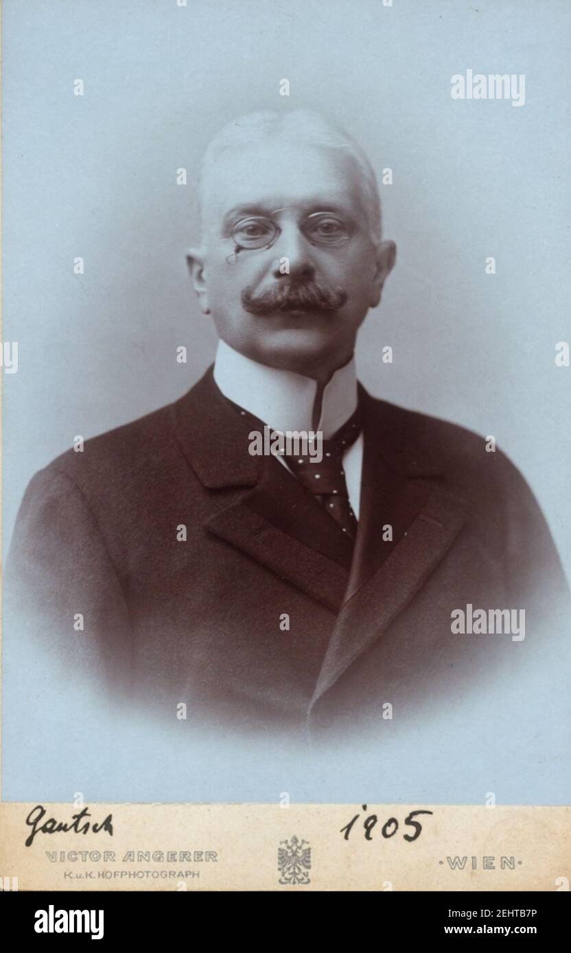 Paul Gautsch von Frankenthurn (1851–1918) by Victor Angerer (1839–1894 ...