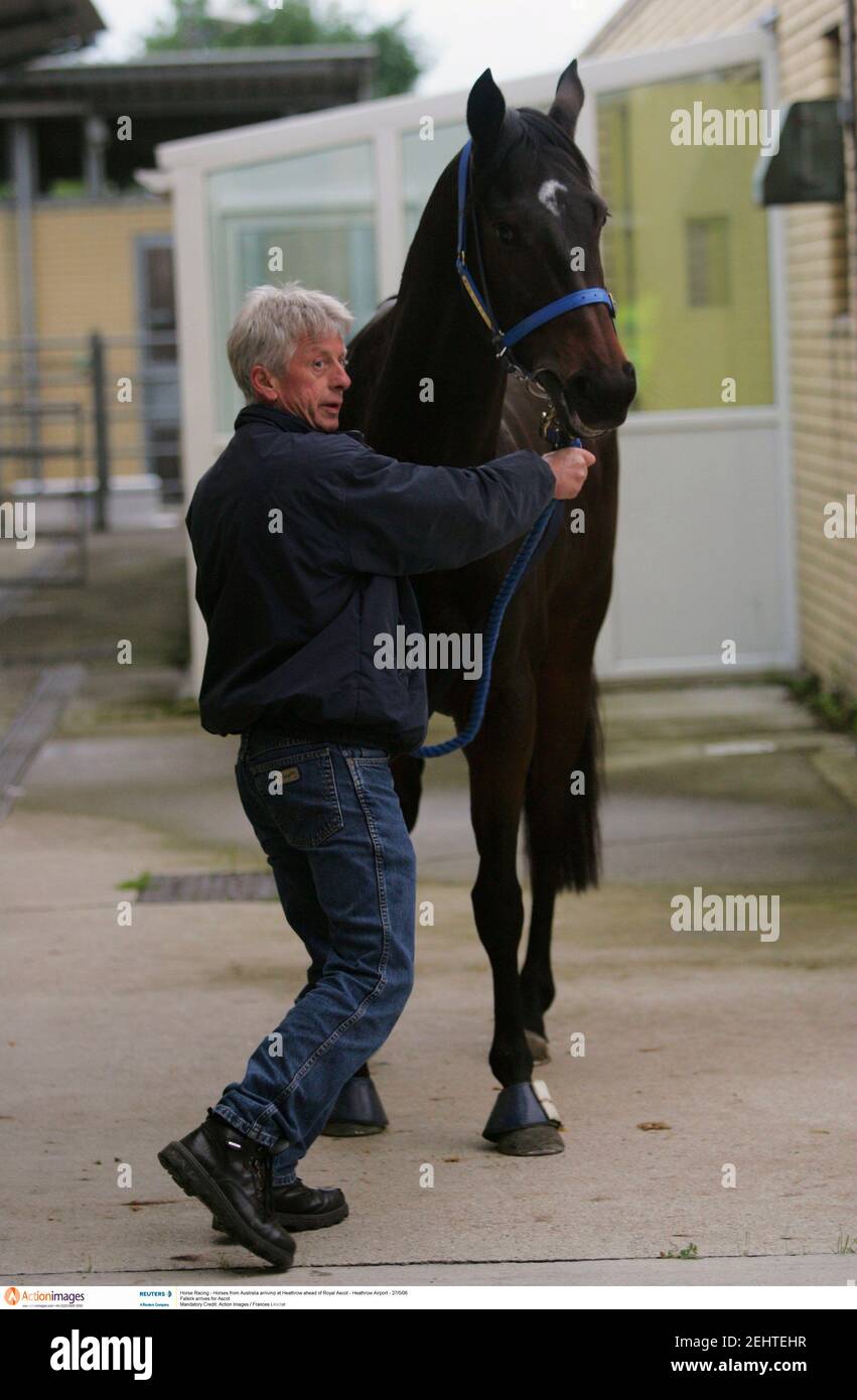 Horse Racing Horses High Resolution Stock Photography and Images - Alamy