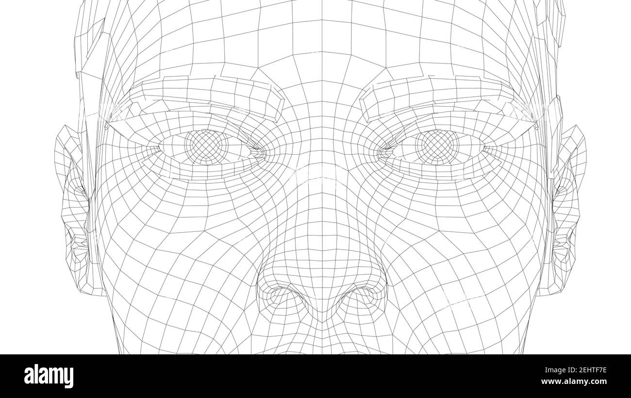 Wireframe portrait of a young beautiful girl Stock Vector Image & Art ...