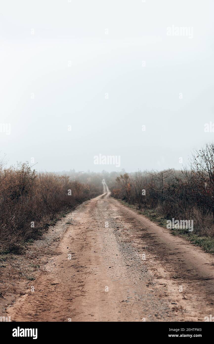 Long Dark Road