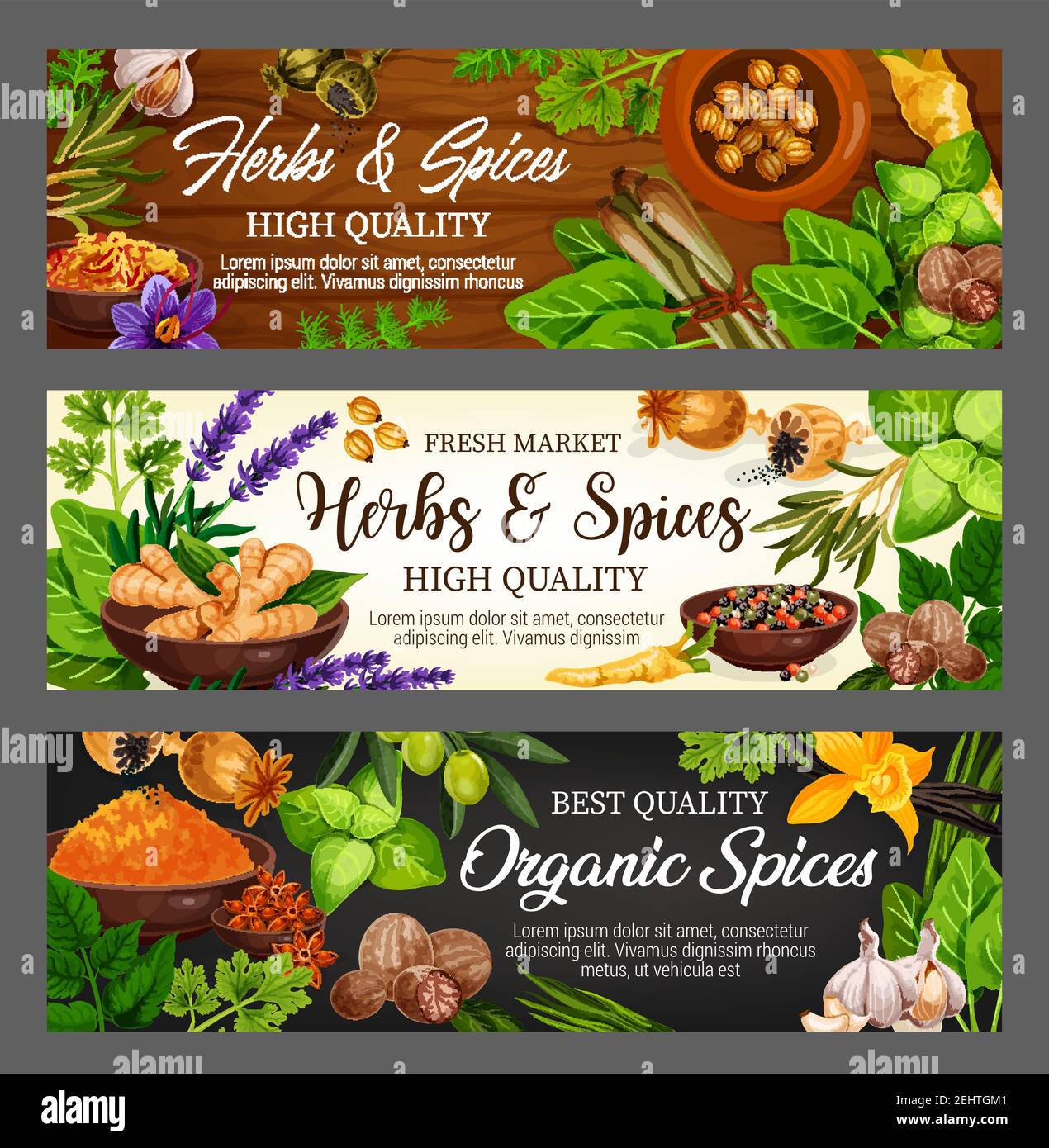 Spices, herbs and vegetable greens, food seasonings, condiments. Vector ...
