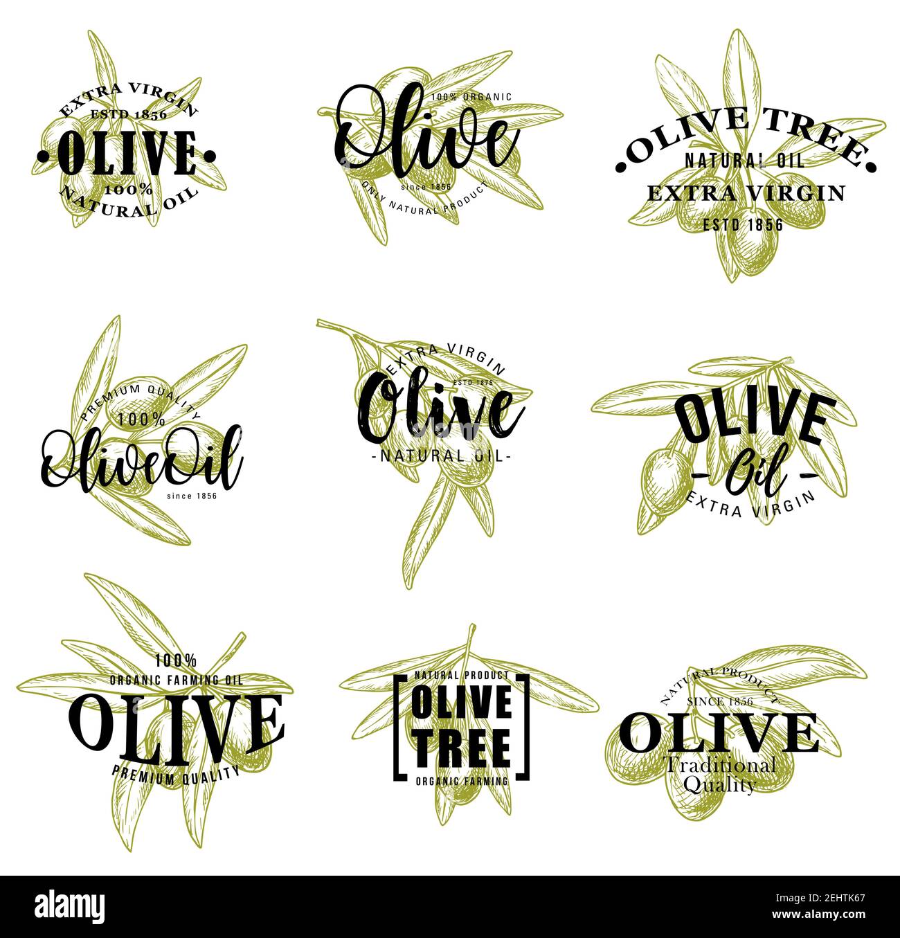 Olive icons of green olives on branches. Vector extra virgin oil for ...