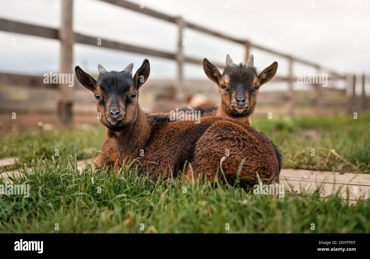 Kids sitting in ground hi-res stock photography and images - Alamy