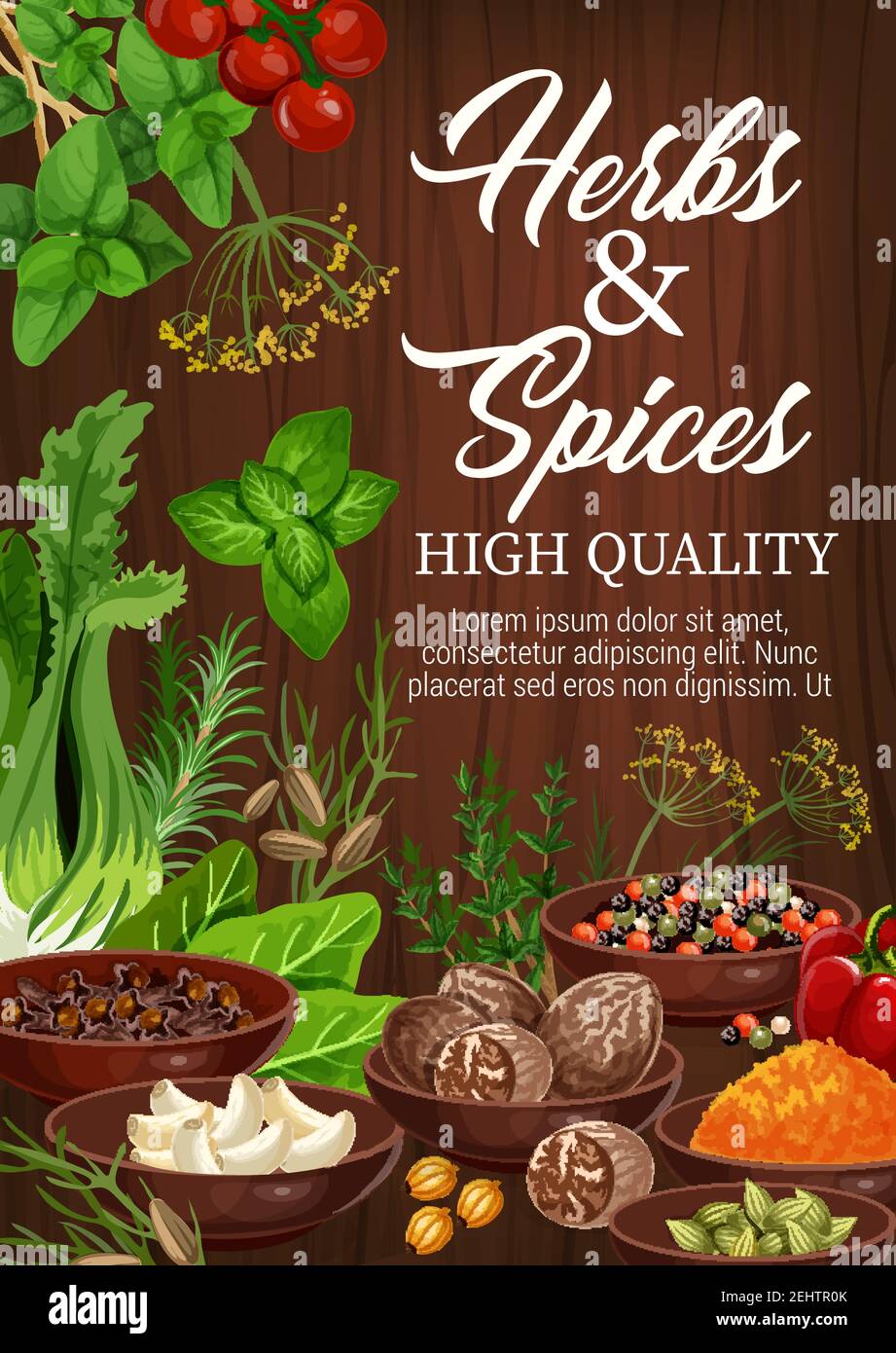 Herbs and spices, culinary ingredients and cooking herbal spicy ...