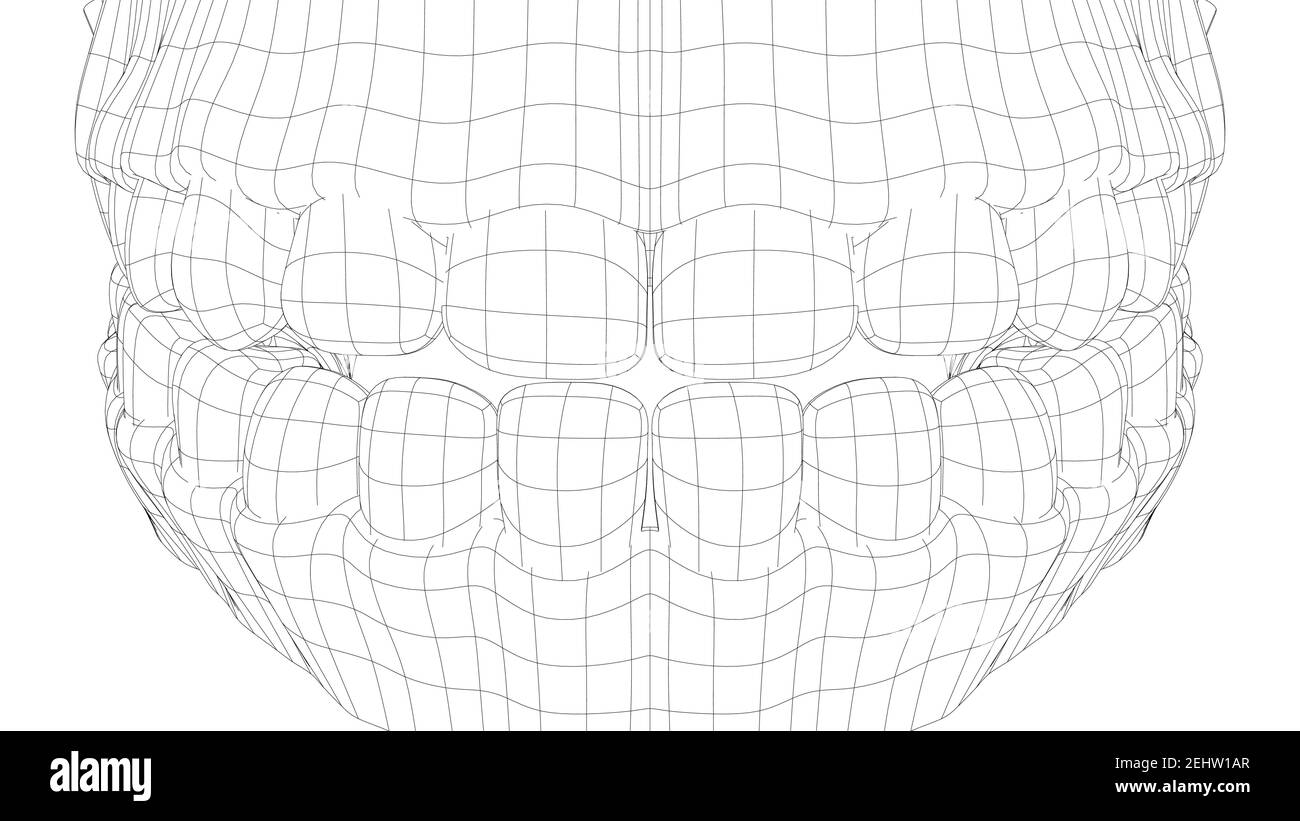 Wire-frame 3D teeth close up Stock Vector Image & Art - Alamy