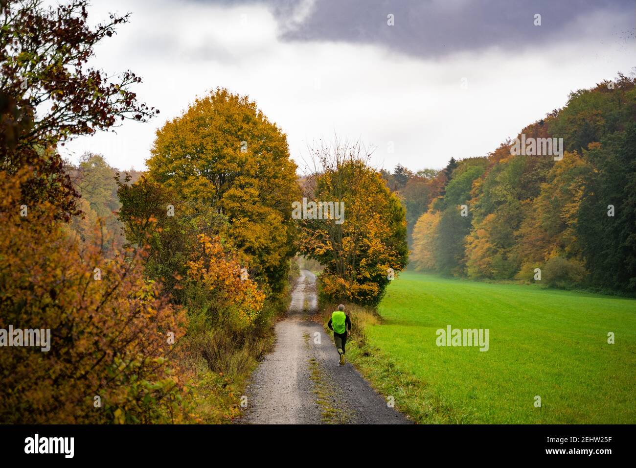 Running on rural autumn road hi-res stock photography and images - Alamy