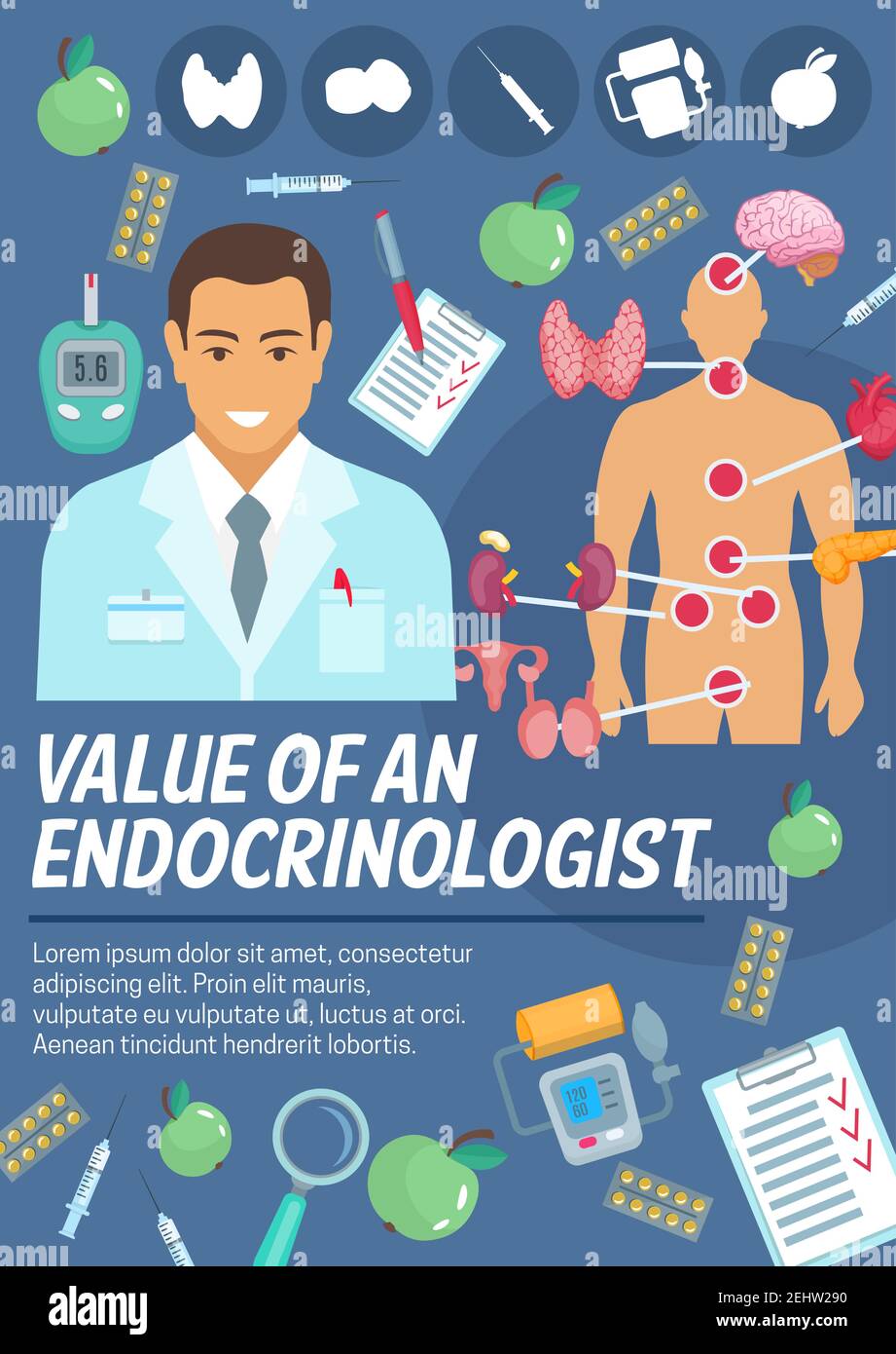 Endocrinology medical poster with human body. Marked internal organs ...