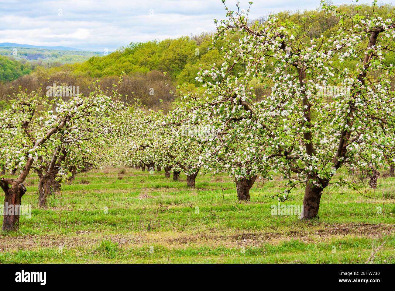 Period agricultural scene hi-res stock photography and images - Alamy