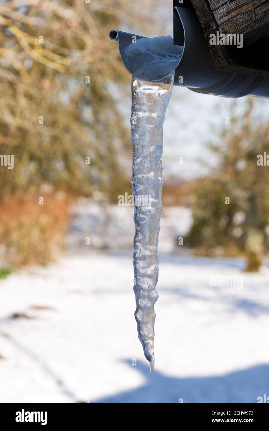 stalactite of frozen rain water falling from a gutter Stock Photo - Alamy