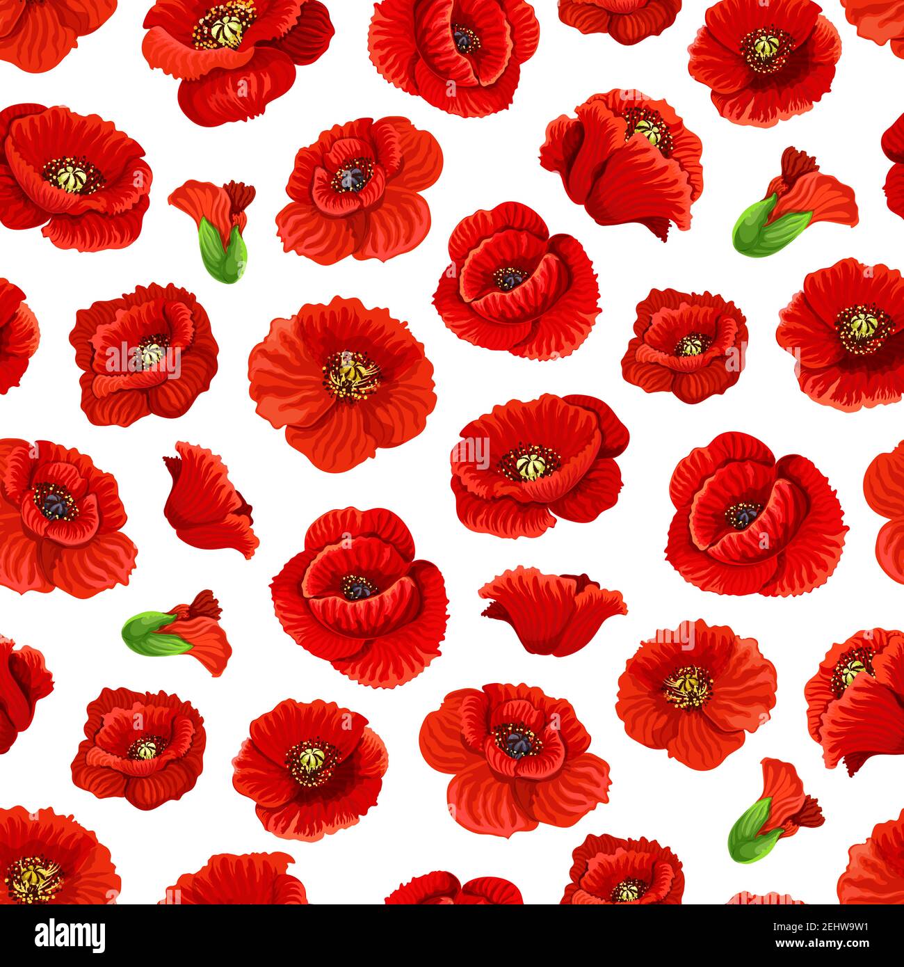 Poppy flowers pattern background. Vector seamless red floral ornament ...