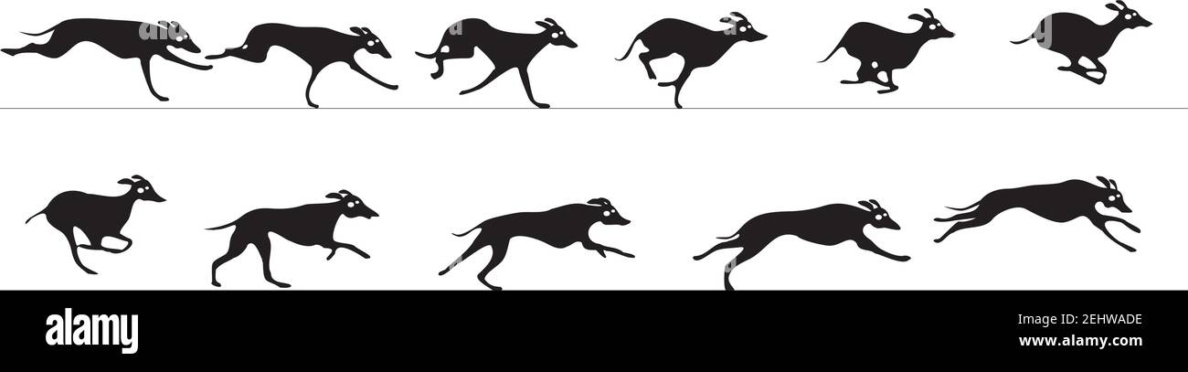 Greyhound running. Animation sprite sheet Stock Vector Image & Art - Alamy