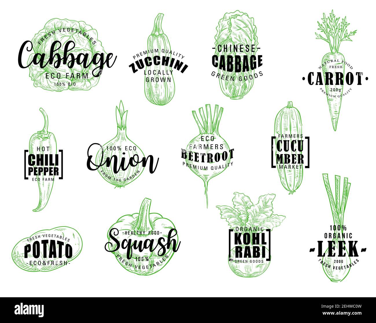 Vegetables and green veggies, vector sketch lettering. Vector cabbage ...