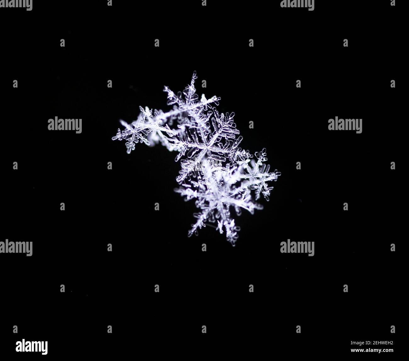 Snowflake cluster hi-res stock photography and images - Alamy