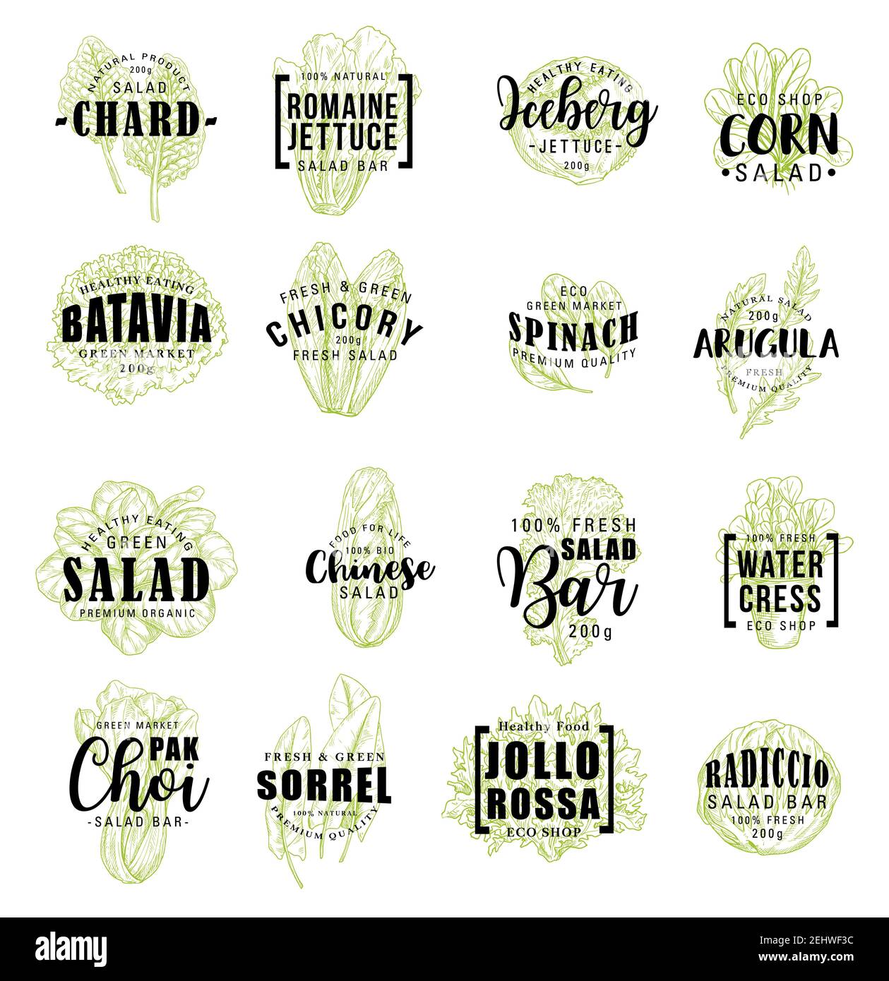 Vegetable lettering icons, farm veggies sketches. Vector chard and ...