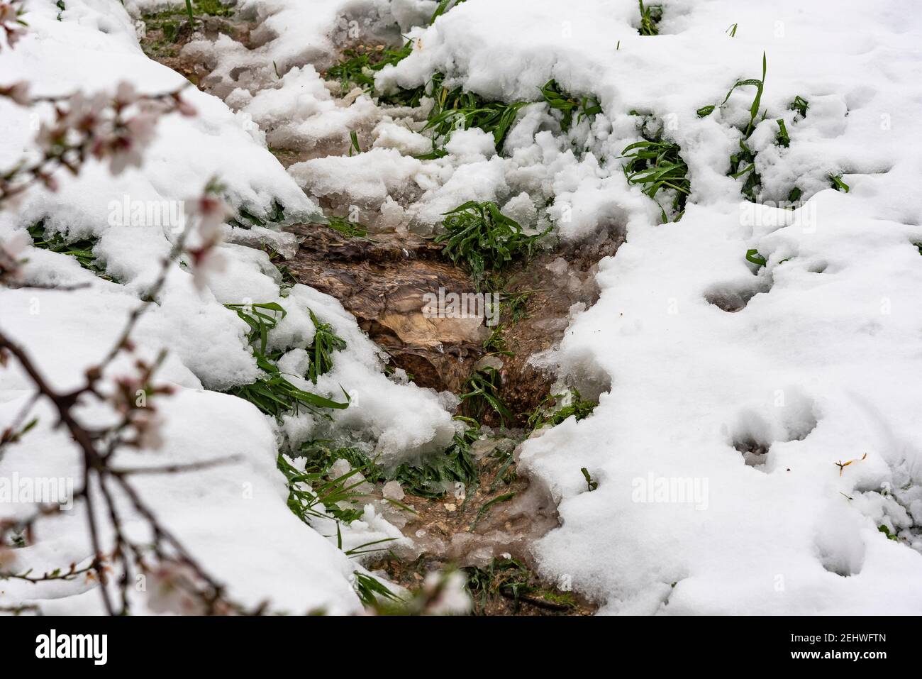 snow in Jerusalem 18 February 2021:Snow on street after the massive ...