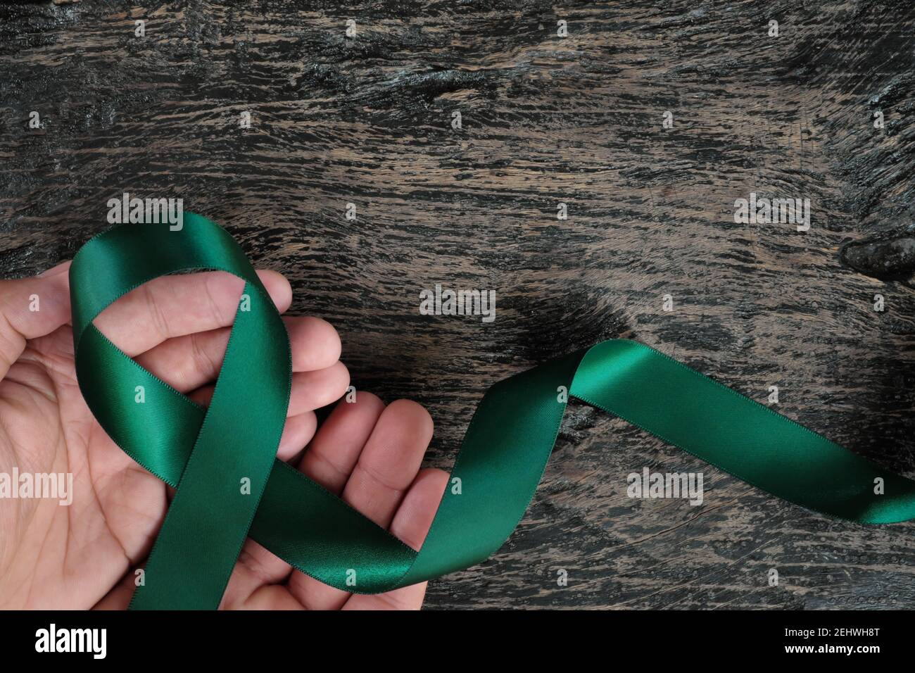 Top view of hand holding emerald green ribbon on dark wood background ...