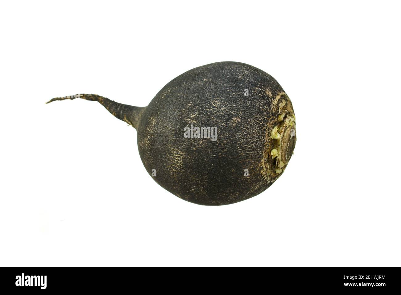 Black radishes isolated on a white background Stock Photo - Alamy