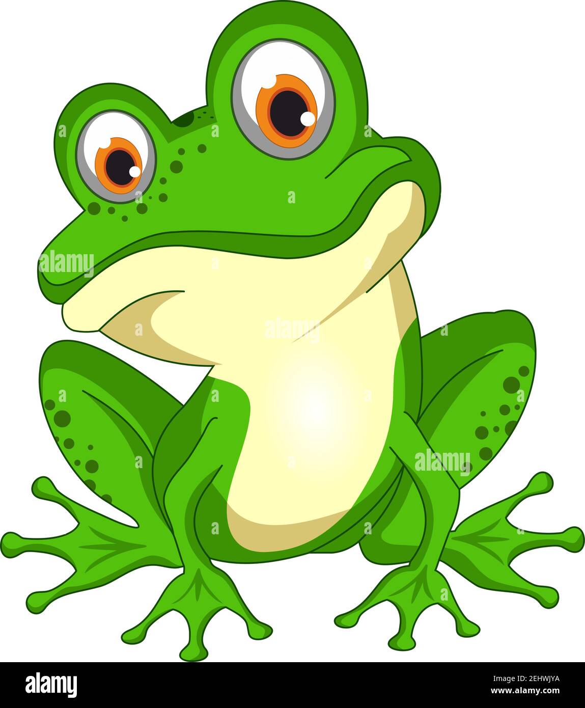 Green smiling vector Frog. White isolated background Stock Vector Image ...