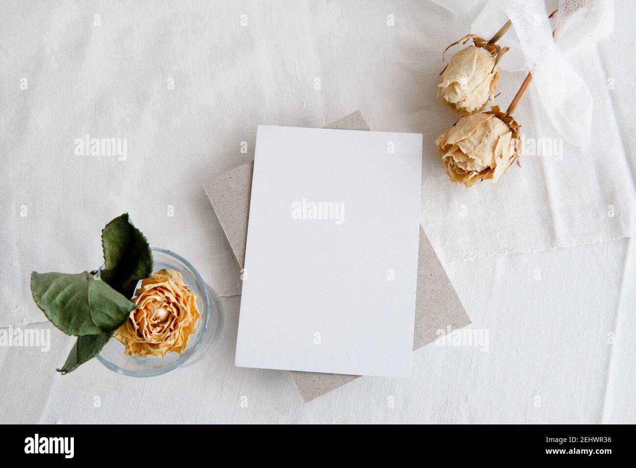 Vintage fashion white background and blank postcard - white background ...