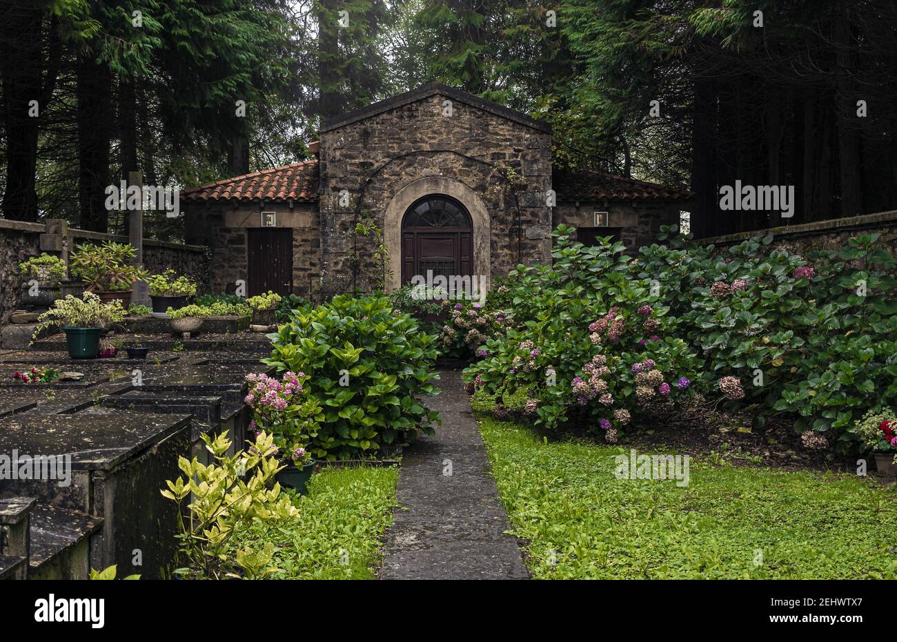 Old and creepy building in a graveyard surrounded by blossomed flowers ...