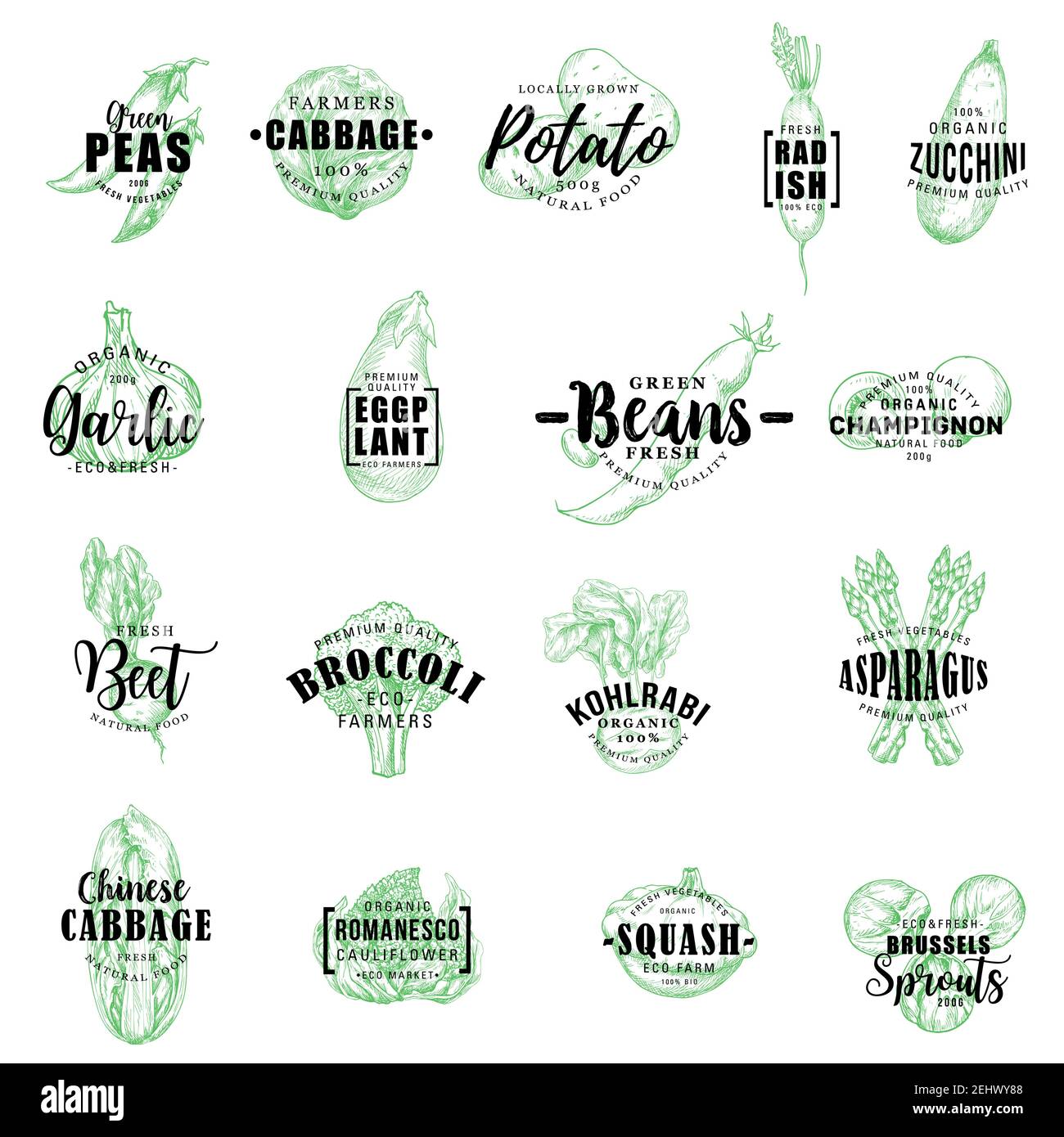 Vegetables sketch lettering icons. Vector veggie green pea, cabbage and ...