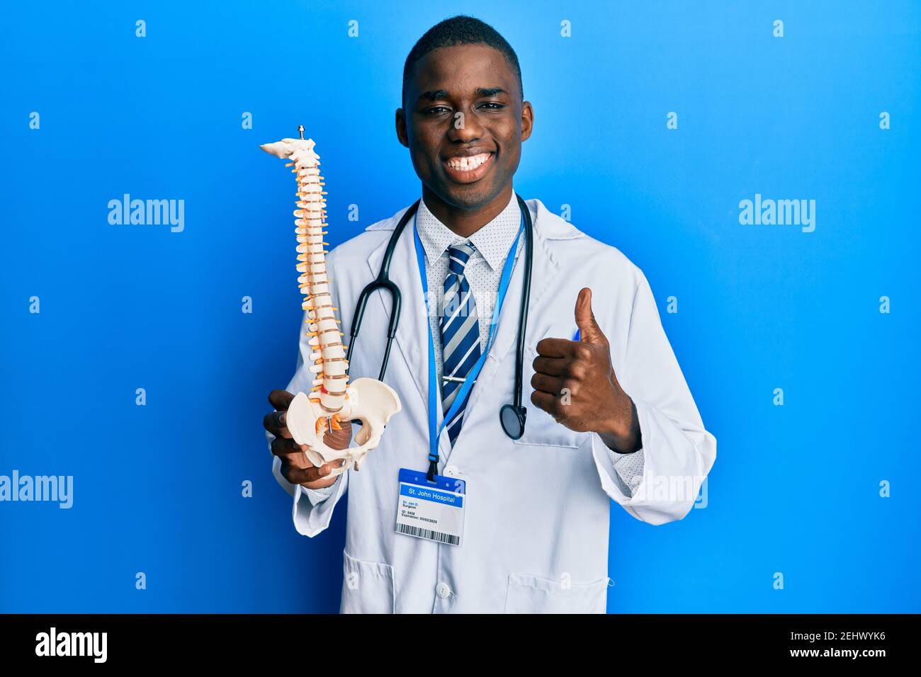 Young african american doctor man holding anatomical model of spinal ...