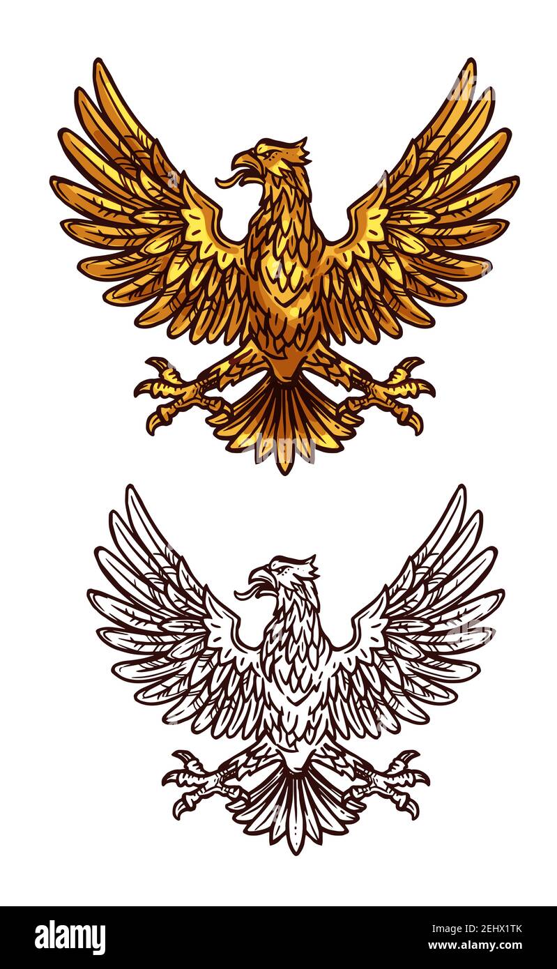 Gothic heraldic eagle sketch icon of golden griffin with beak, spread ...