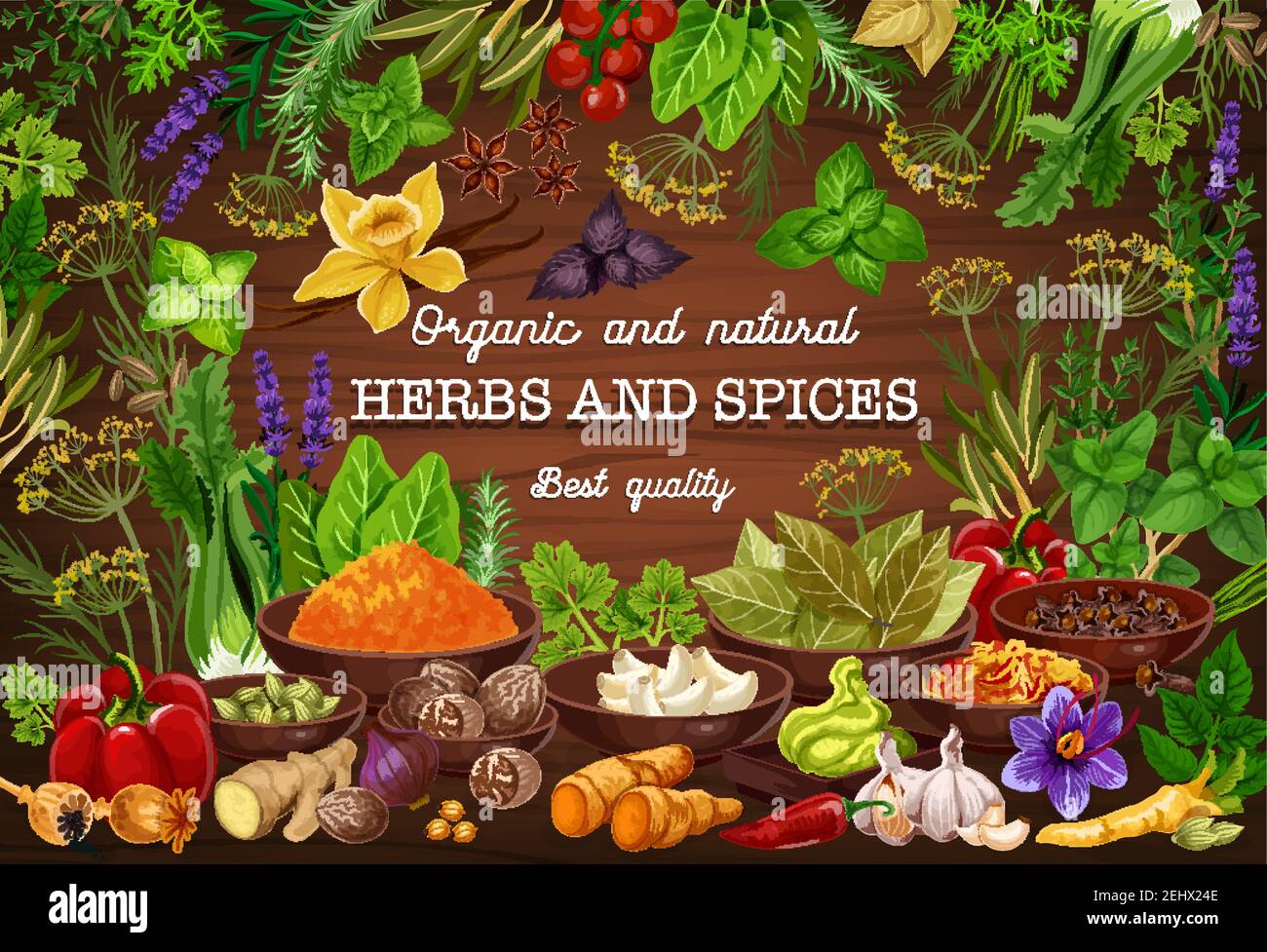 Tomato parsley dill spinach Stock Vector Images - Alamy